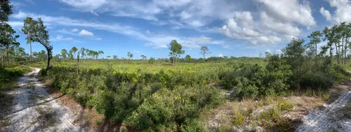 Best Hikes and Trails in Tiger Creek Preserve | AllTrails