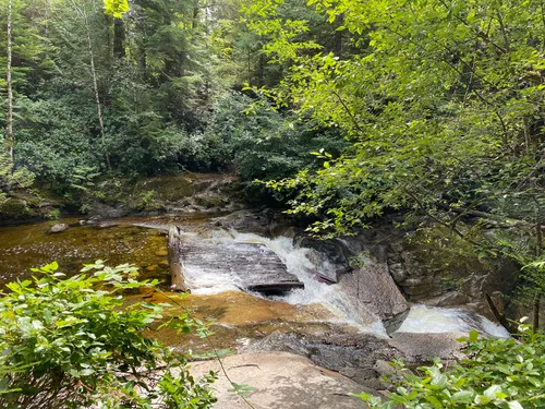 10 Best Trails and Hikes in Sechelt | AllTrails