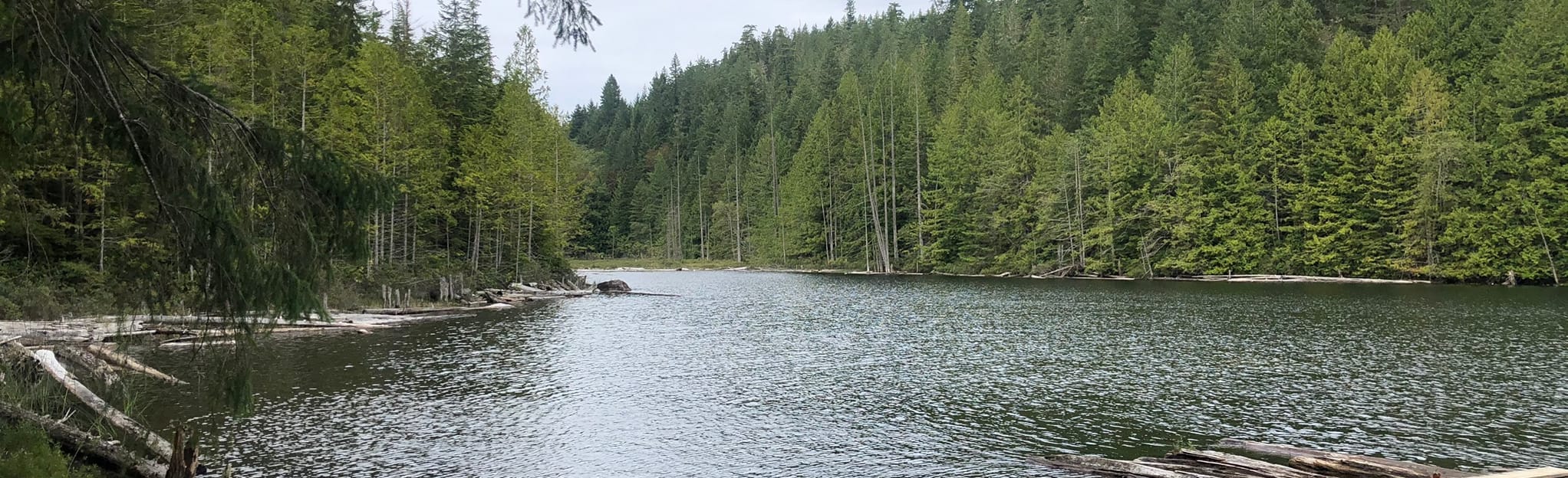 Klein Lake and North Lake MTB Loop: 6 Reviews, Map - British Columbia ...