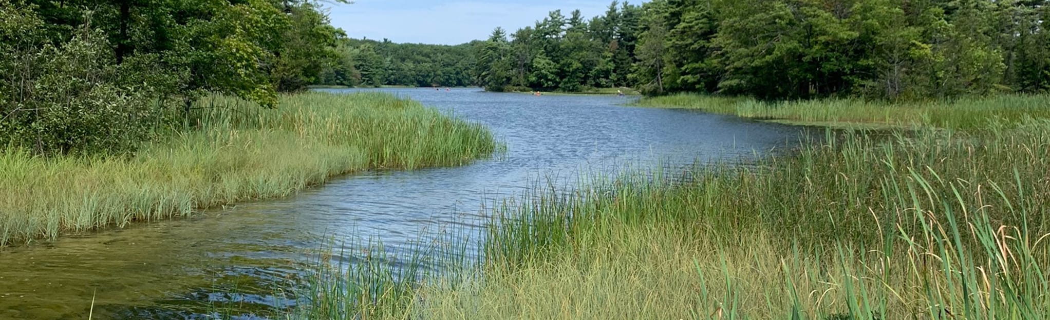 Ridge Trail, Island Trail, and Lost Lake Trail Loop: 139 Reviews, Map ...