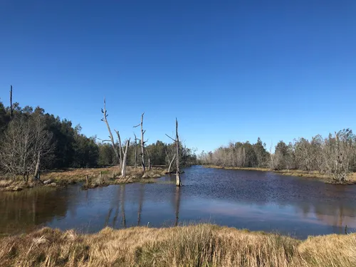 Best Hikes and Trails in Hunter Wetlands National Park | AllTrails