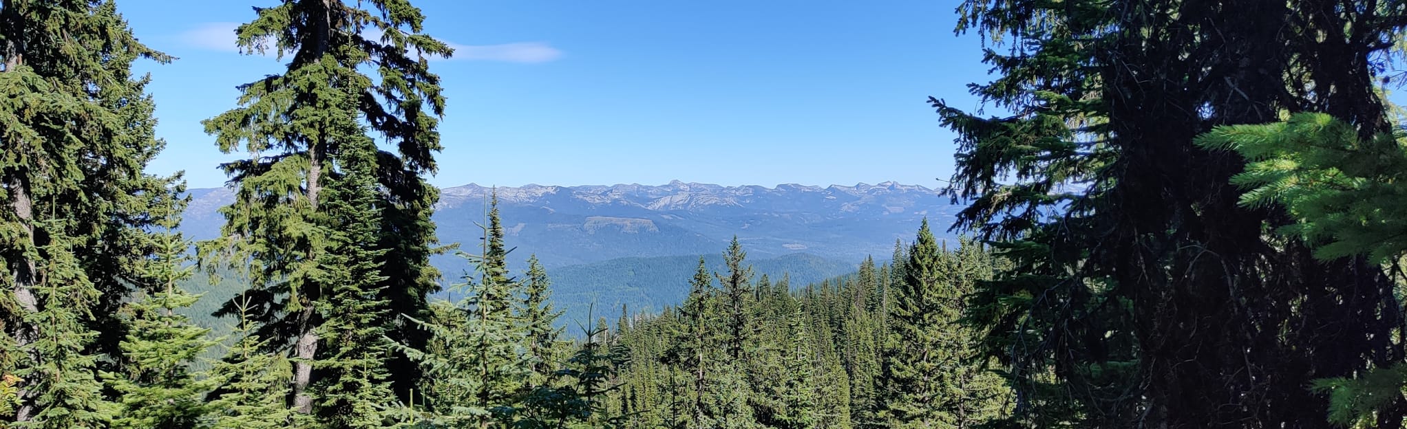 Shedroof Divide Trail, Washington - 2 Reviews, Map | AllTrails