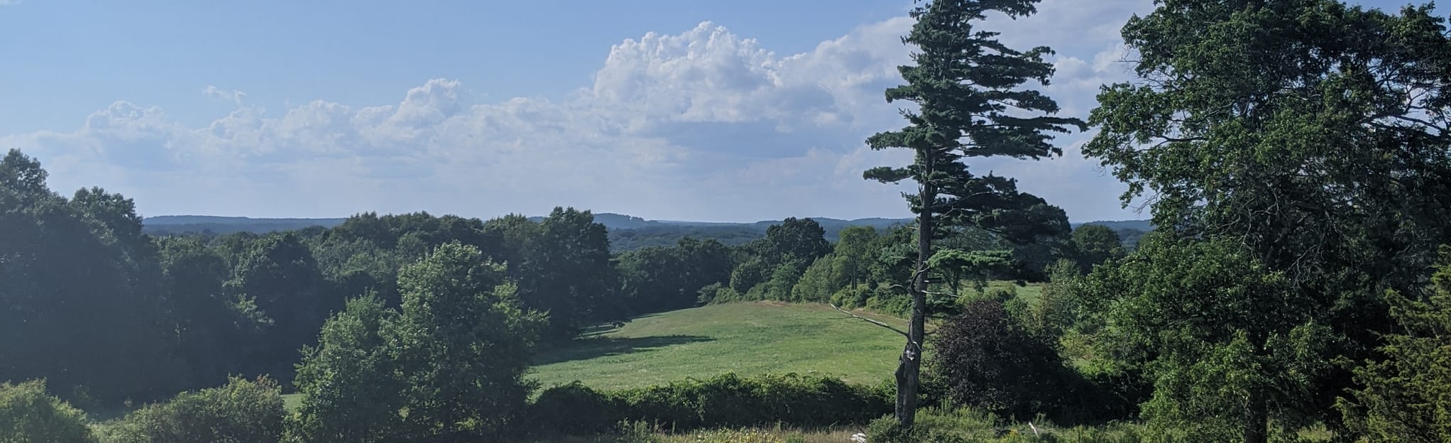 Willow Hill Loop: 111 Reviews, Map - Massachusetts | AllTrails