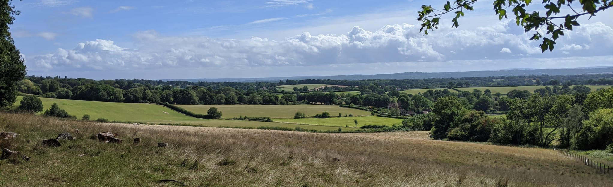 Limpsfield Loop: 377 Reviews, Map - Surrey, England | AllTrails