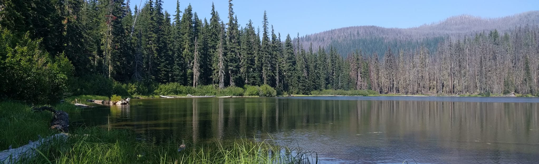 Nash Lake Trail Via Horse Creek Trail, Oregon - 10 Reviews, Map | AllTrails
