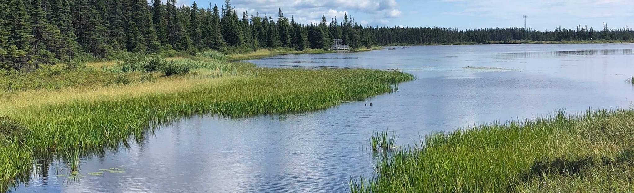 Cobbs Pond Trail, Newfoundland and Labrador, Canada - 143 Reviews, Map ...