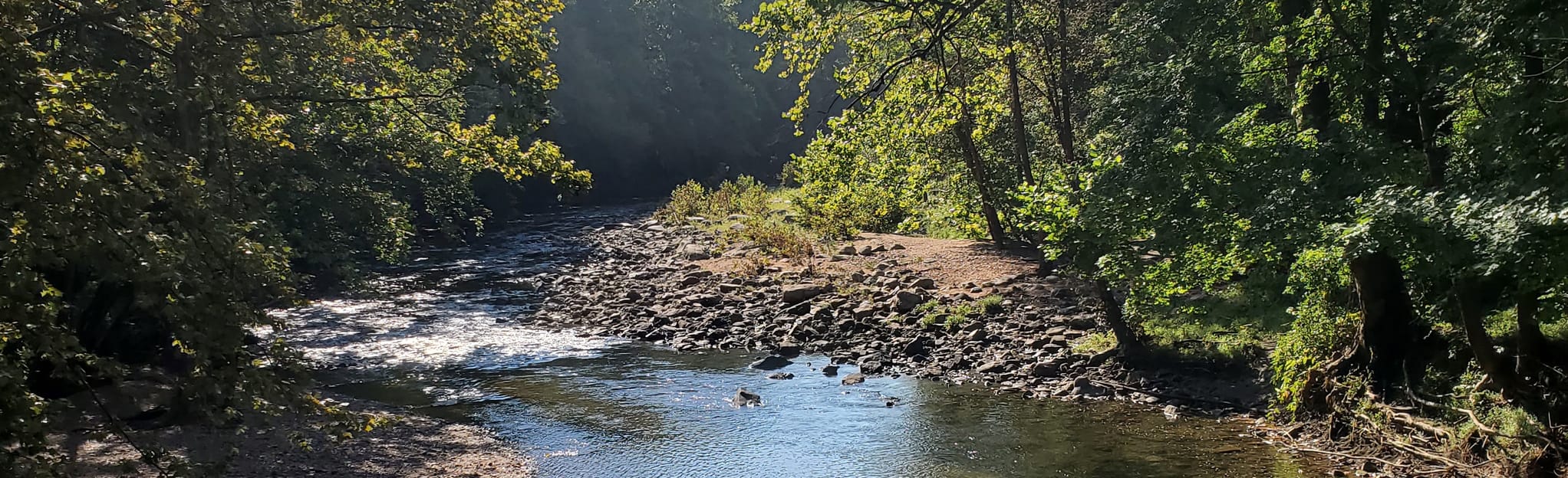 Forest Glen Trail, Maryland - 246 Reviews, Map | AllTrails