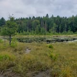 Chickering Bog Nature Trail, Vermont - 88 Reviews, Map | AllTrails