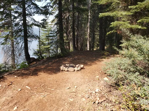 Best Kid Friendly Trails in Strawberry Valley | AllTrails