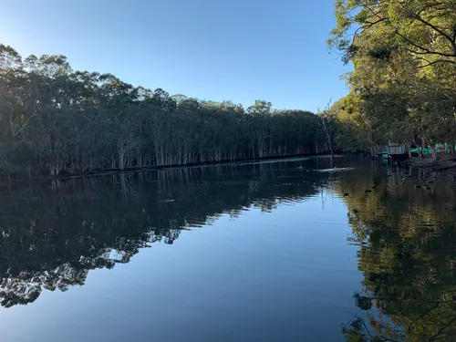 10 Best Hikes and Trails in Daisy Hill Conservation Park | AllTrails