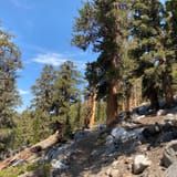 Olancha Peak, California - 45 Reviews, Map | AllTrails