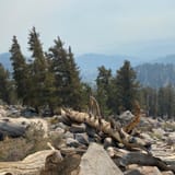 Olancha Peak, California - 45 Reviews, Map | AllTrails