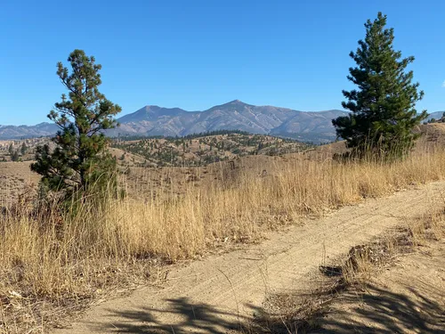10 Best Trails and Hikes in Entiat | AllTrails