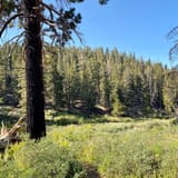 Olancha Peak, California - 45 Reviews, Map | AllTrails