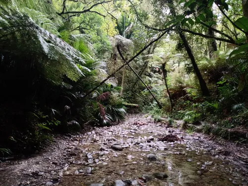 Best Hikes and Trails in Mahia Peninsula Scenic Reserve | AllTrails