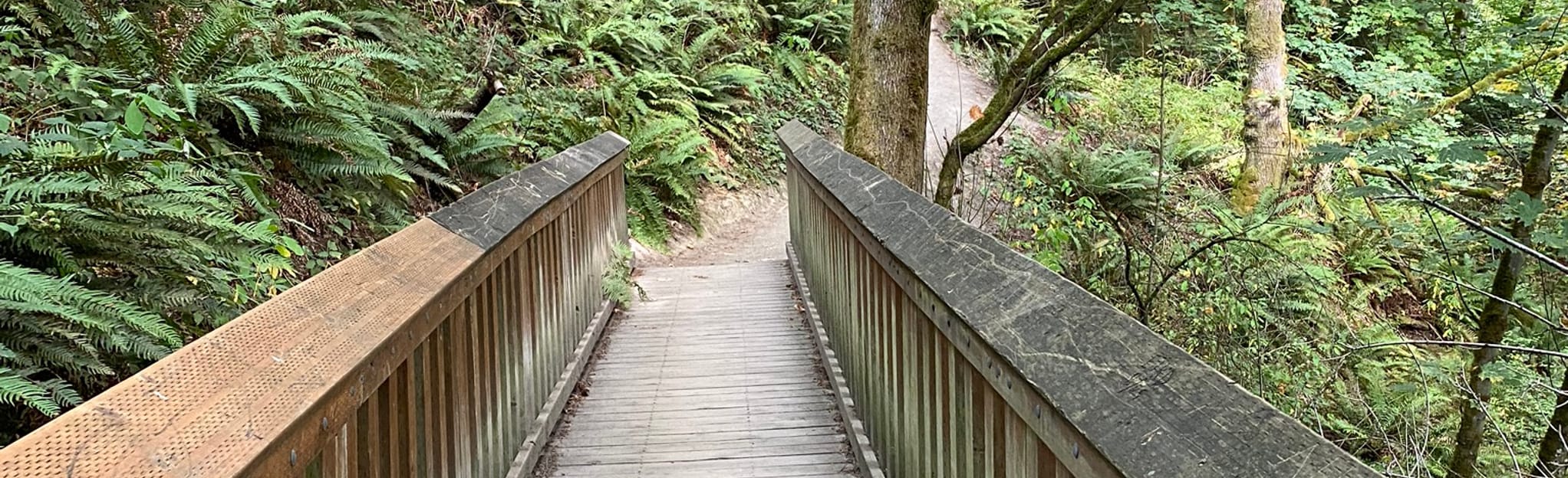 Dash Point State Park Loop via Beach Trail, Washington - 725 Reviews ...