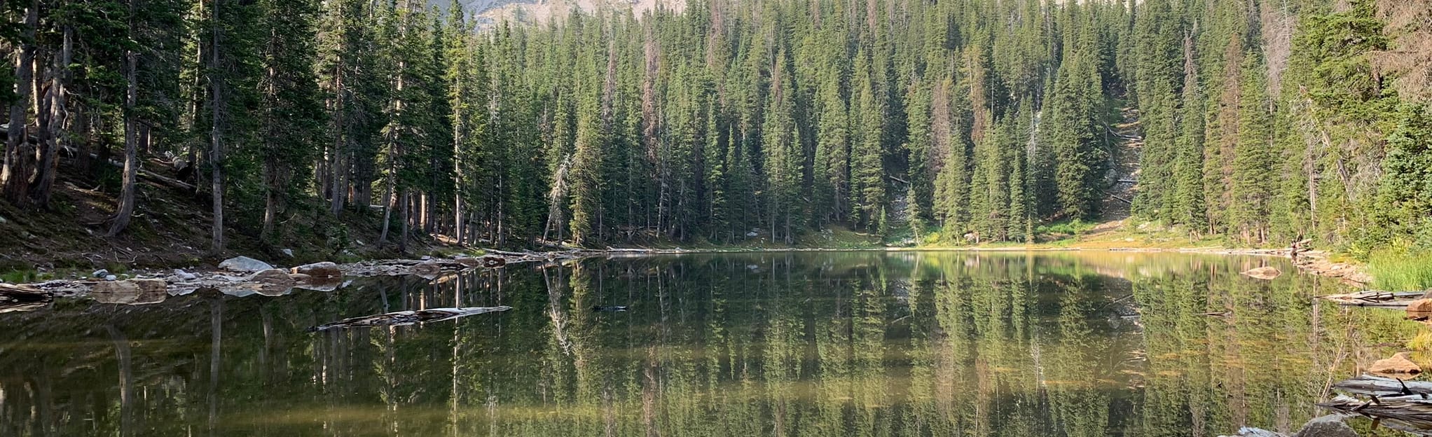 Trampas Lakes Trail - New Mexico | AllTrails