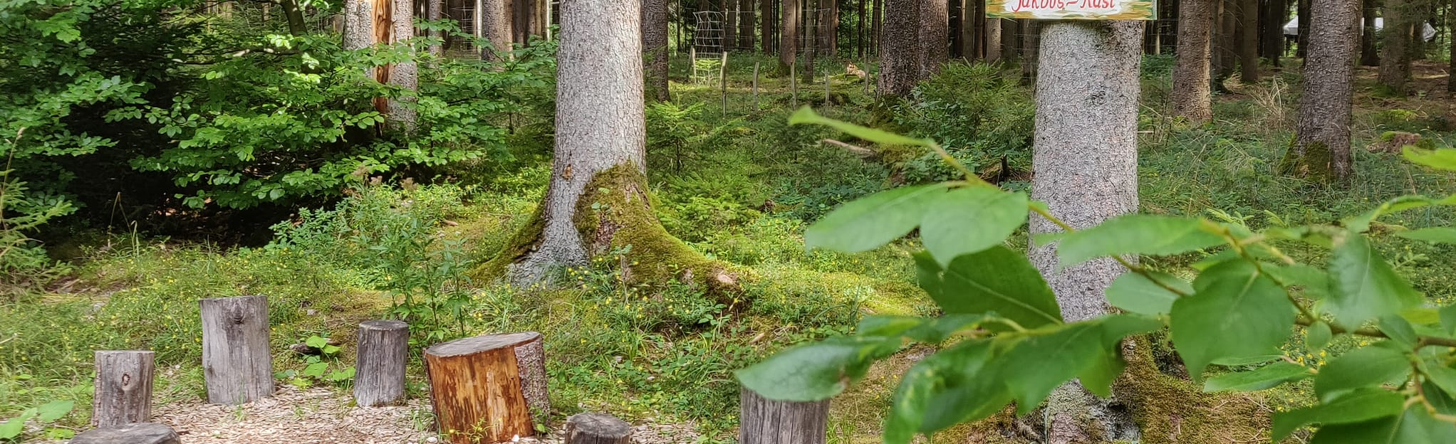 From Bettbrunn through the Koeschinger forest, Bavaria, Germany - 4 ...