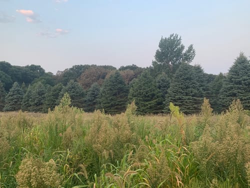 Best Hikes and Trails in Spirit Lake | AllTrails