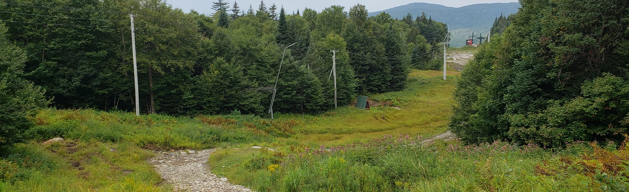 Vista Peak via Vista Work Road, Vermont - 128 Reviews, Map | AllTrails