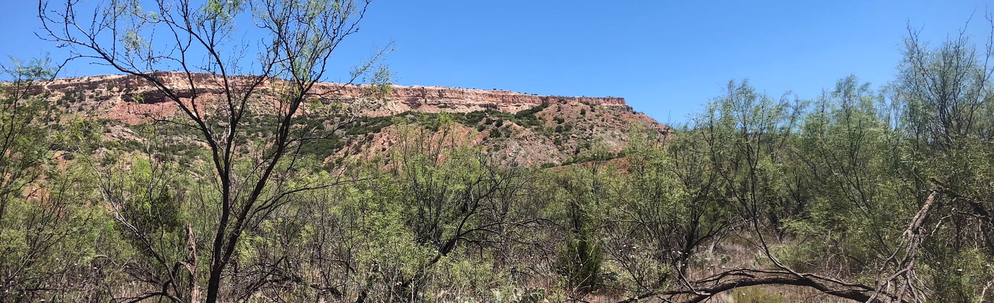 The Paseo del Rio Trail, Texas - 283 Reviews, Map | AllTrails