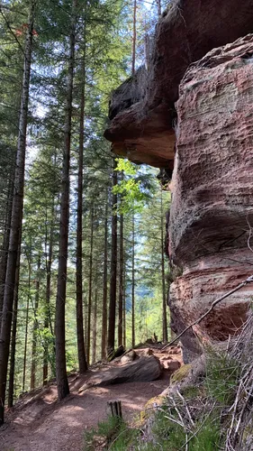 Best Camping Trails in Clausen | AllTrails