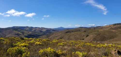 Best River Trails in Kareedouw | AllTrails