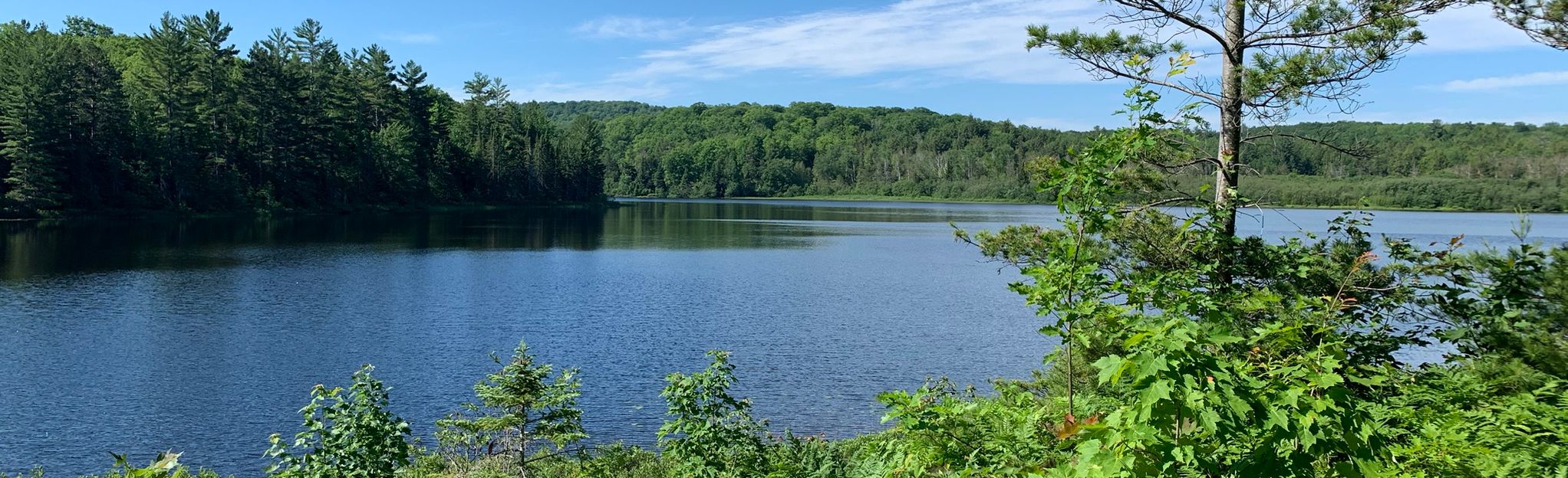 Beaver Lake Loop, Michigan - 124 Reviews, Map | AllTrails
