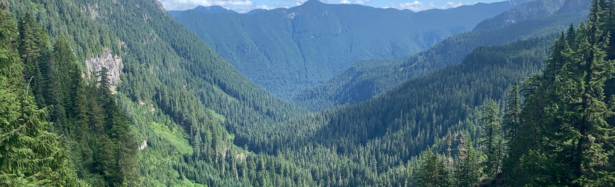 Escape To Oregon's Wildwood Wonderland: Your Unforgettable Campground ...