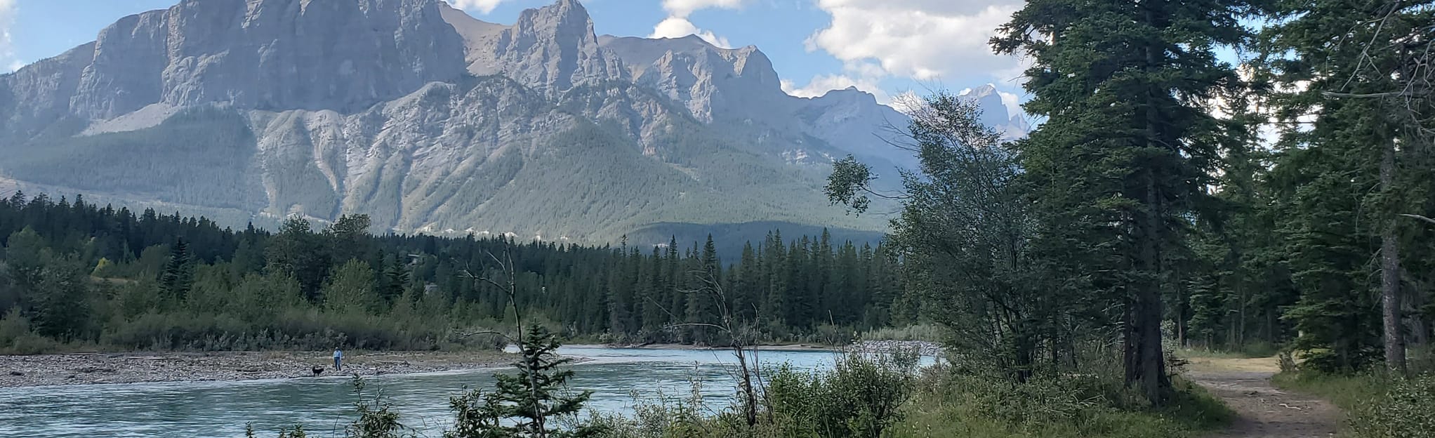 Canmore Creek Trail, Alberta, Canada - 239 Reviews, Map | AllTrails