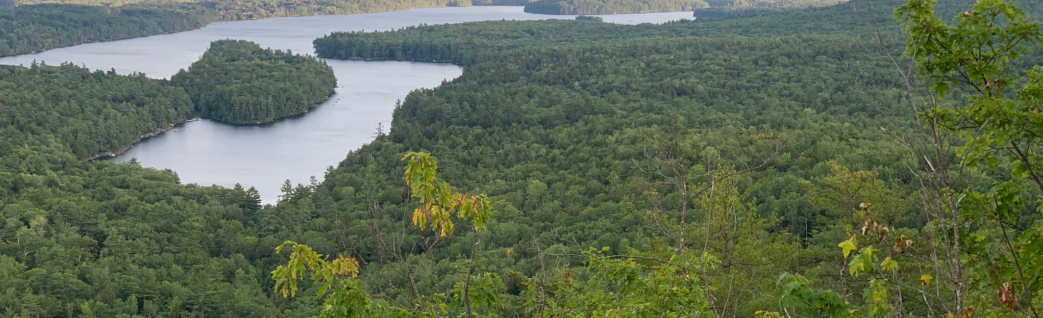 French's Mountain Trail: 474 Reviews, Map - Maine | AllTrails