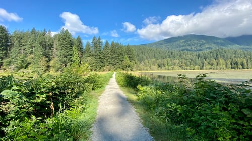 Best Hikes and Trails in Minnekhada Regional Park | AllTrails