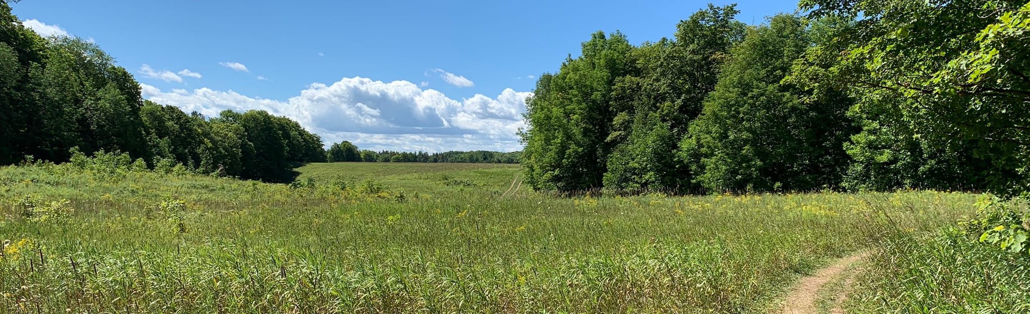 Beaver Valley Loop: 99 Reviews, 1,834 Photos, Map - Ontario, Canada ...
