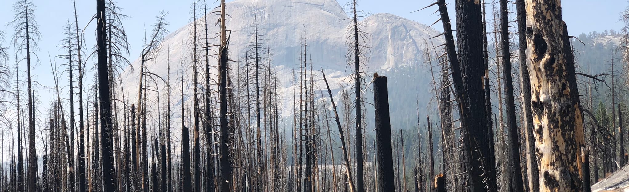 Red Peak Pass: 22 Reviews, Map - California | AllTrails