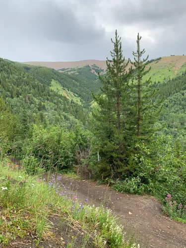 10 Best Trails and Hikes in Grande Cache | AllTrails