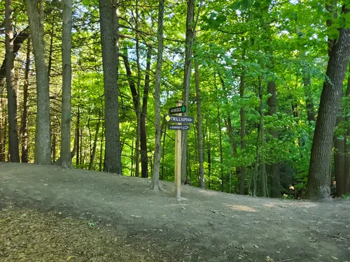 Best Hikes and Trails in Powder Mill Park | AllTrails