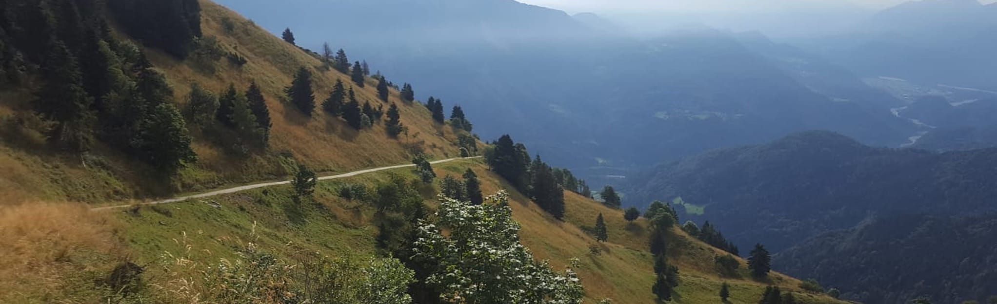 Avausa - Stentaria - Passo della Forcella - Sauris: 2 Fotos - Friuli ...