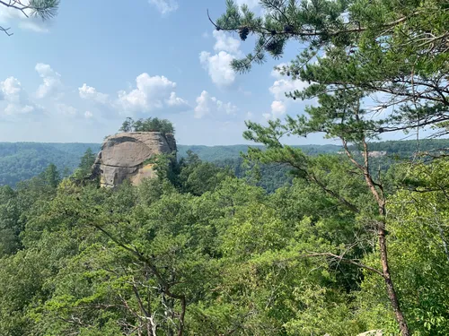 10 Best Backpacking Trails in Red River Gorge Geological Area | AllTrails