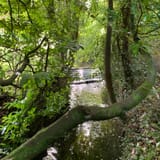 Chew Magna and Sacred Heart Circular, Somerset, England - 170 Reviews ...