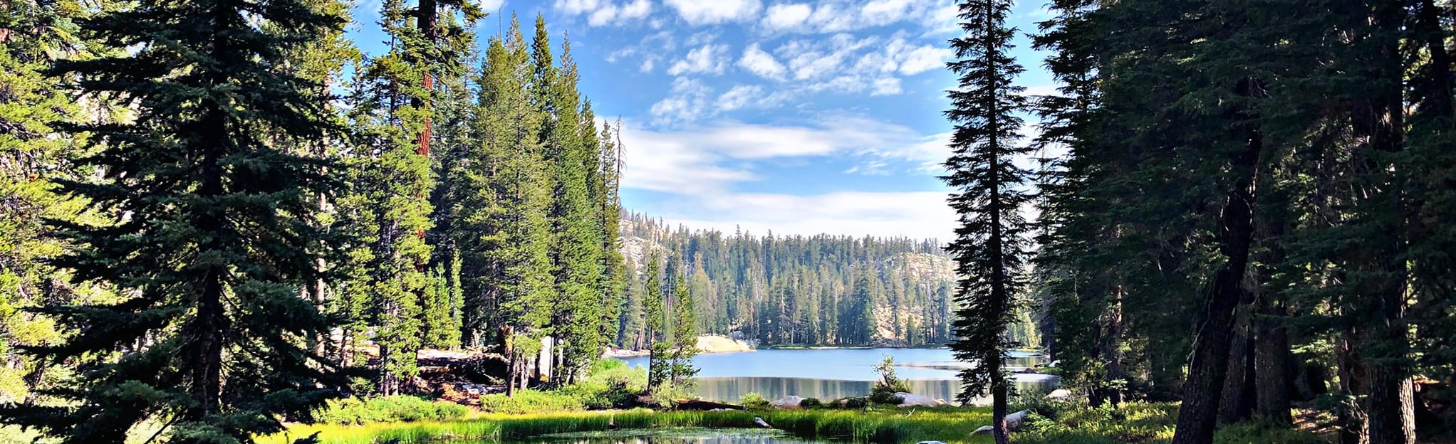 Jackass Lakes Trail: 39 Reviews, Map - California | AllTrails