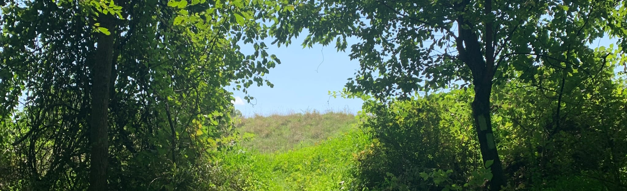 Baldwin and Barran's Trail Loop, Maryland - 624 Reviews, Map | AllTrails