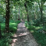 Matildaville Trail, Virginia - 223 Reviews, Map | AllTrails