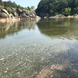 Matildaville Trail, Virginia - 223 Reviews, Map | AllTrails