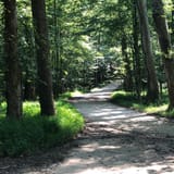 Matildaville Trail, Virginia - 223 Reviews, Map | AllTrails