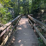 Matildaville Trail, Virginia - 236 Reviews, Map | AllTrails