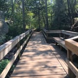 Matildaville Trail, Virginia - 236 Reviews, Map | AllTrails