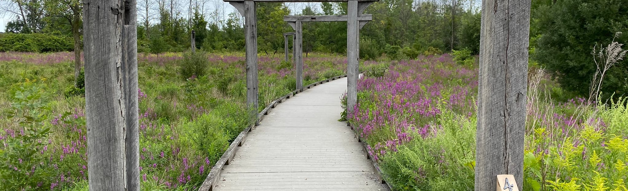 Meridian Centre Park Loop, New York - 136 Reviews, Map | AllTrails