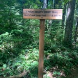 Four County Point Trail, Oregon - 116 Reviews, Map | AllTrails