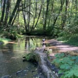Four County Point Trail, Oregon - 116 Reviews, Map | AllTrails