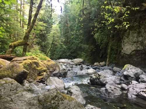 10 Best Trails and Hikes in Comox Valley A | AllTrails